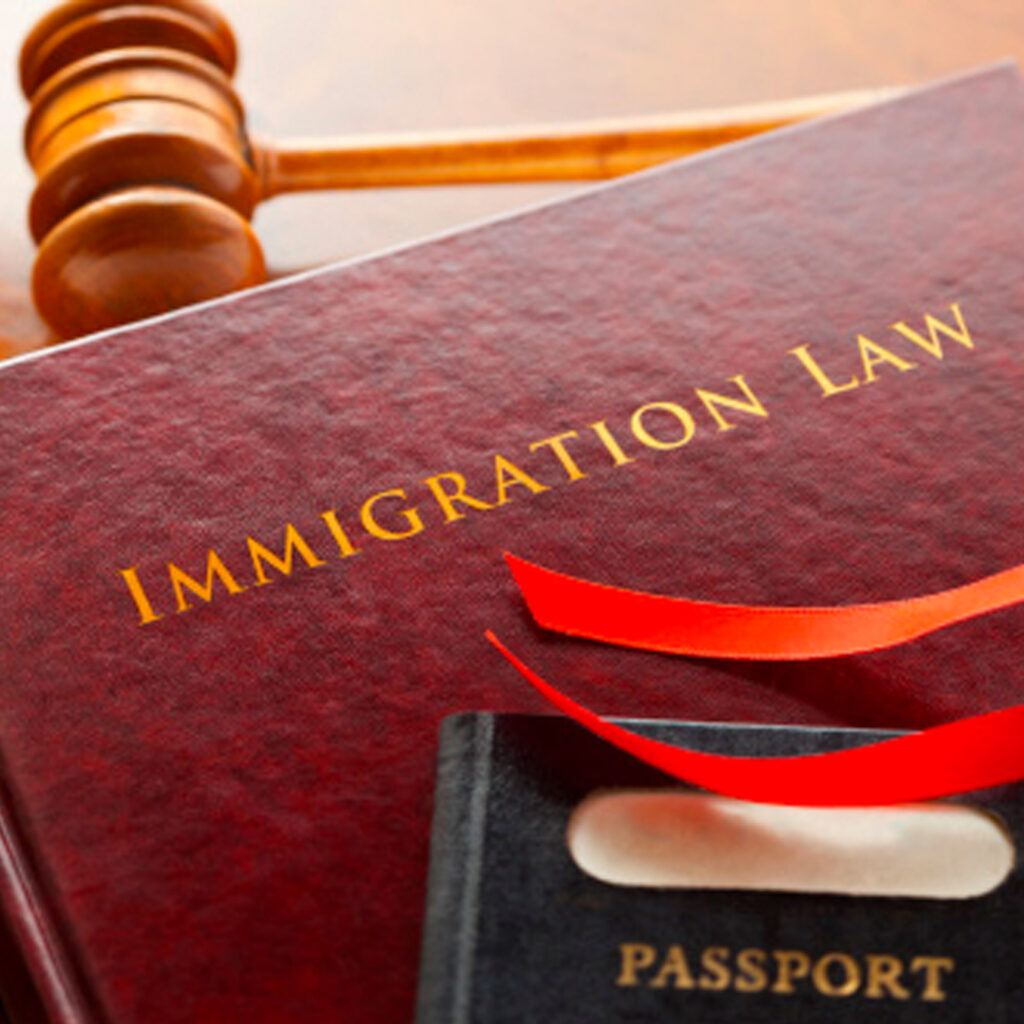 Our Services – Ligege